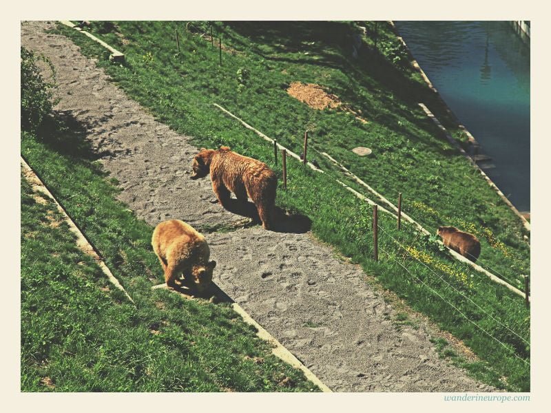 How Long To Spend In Bern: Half Day, 1 Day Or 2 Days