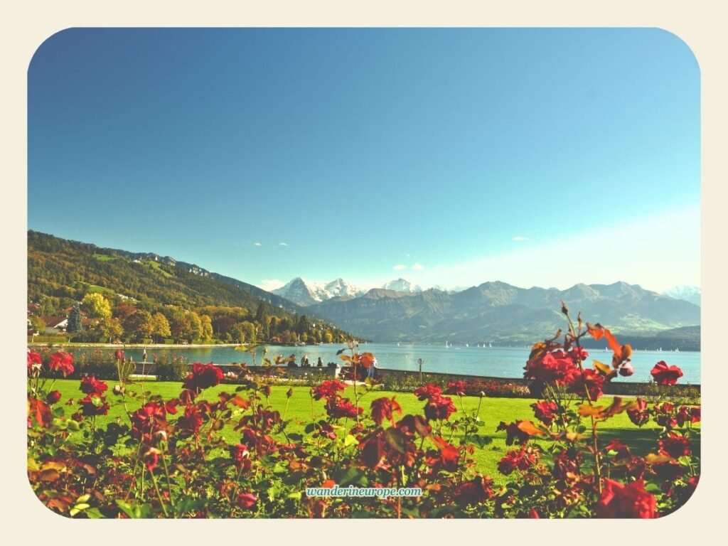 Thun • Wander In Europe